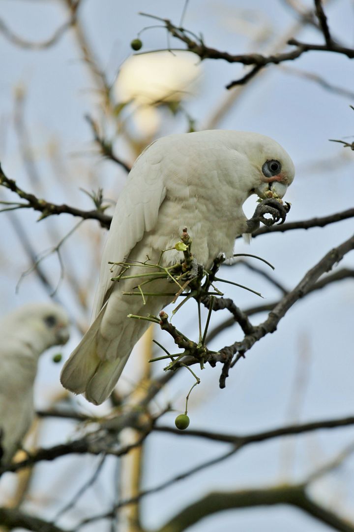 Photo board Assignment: Scavenger Hunt, July October 2013 | Page 3 ...